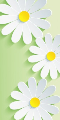 Banners - Carpenter Decorating Company, Inc.