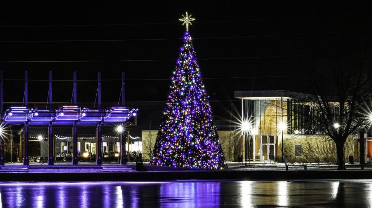 Outdoor Commercial Christmas Trees - Made In USA