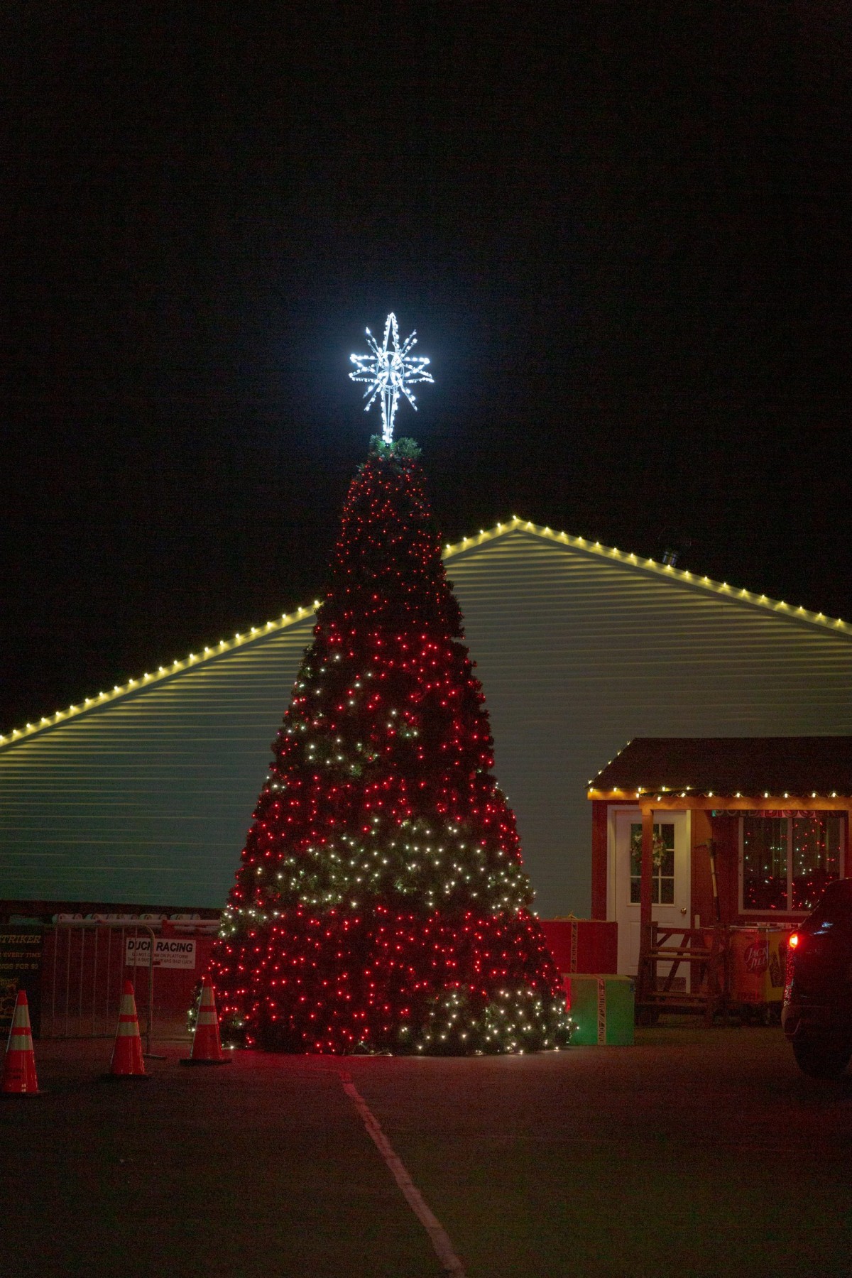 Outdoor Commercial Christmas Trees - Made In USA