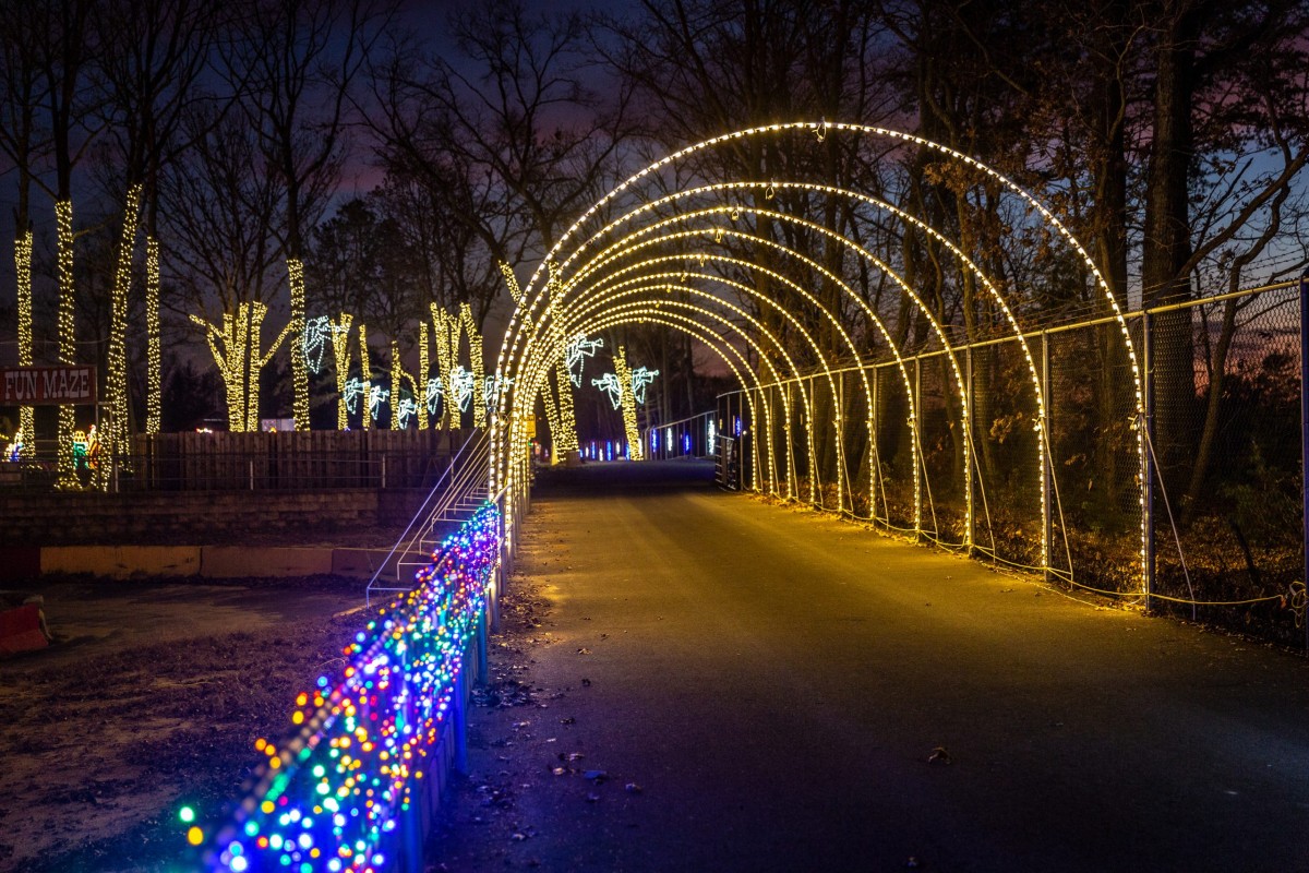 Arches - Carpenter Decorating Company, Inc.