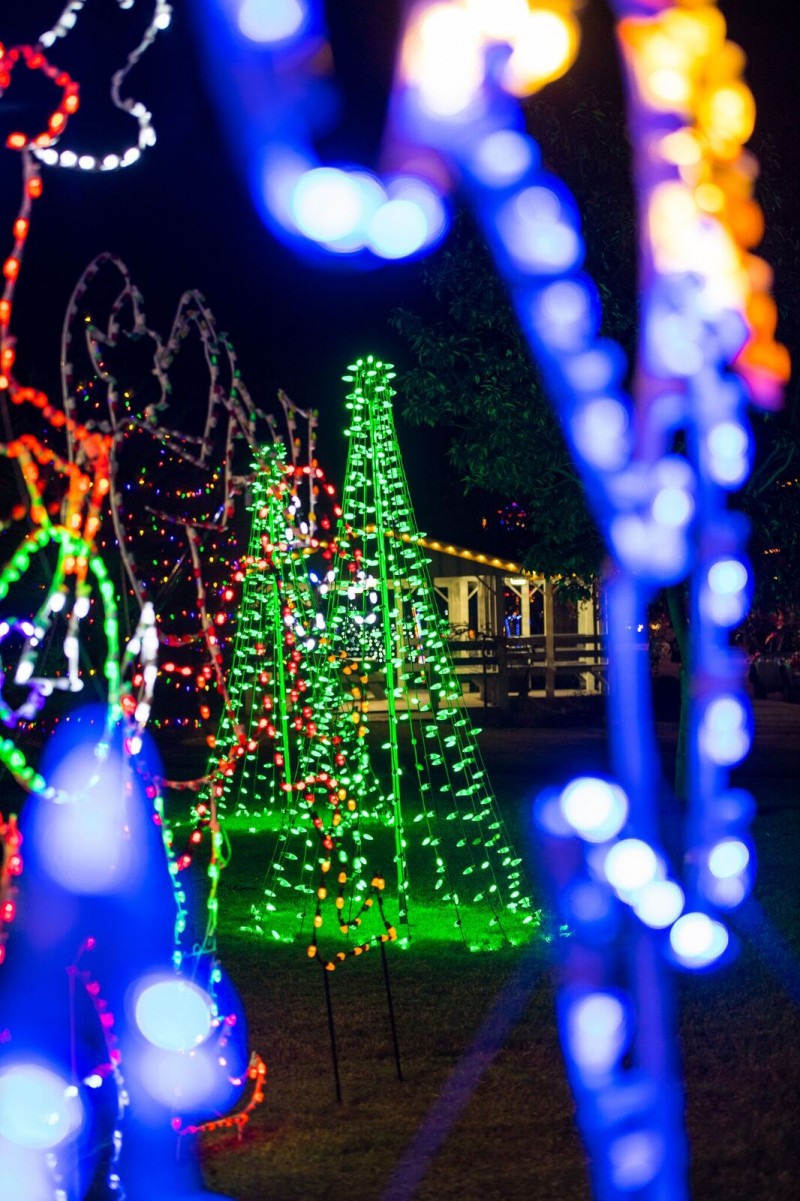 Outdoor Commercial Christmas Trees - Made In USA