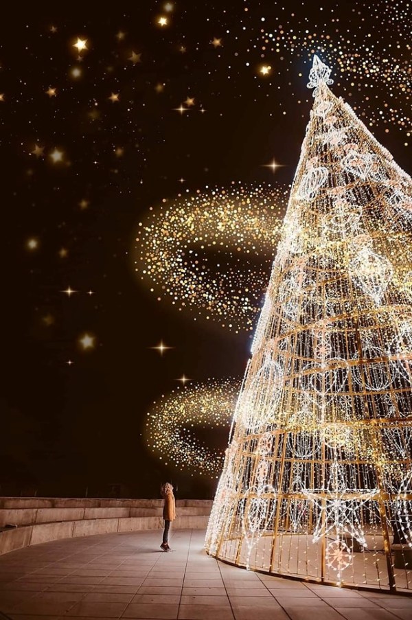 Outdoor Commercial Christmas Trees - Made In USA